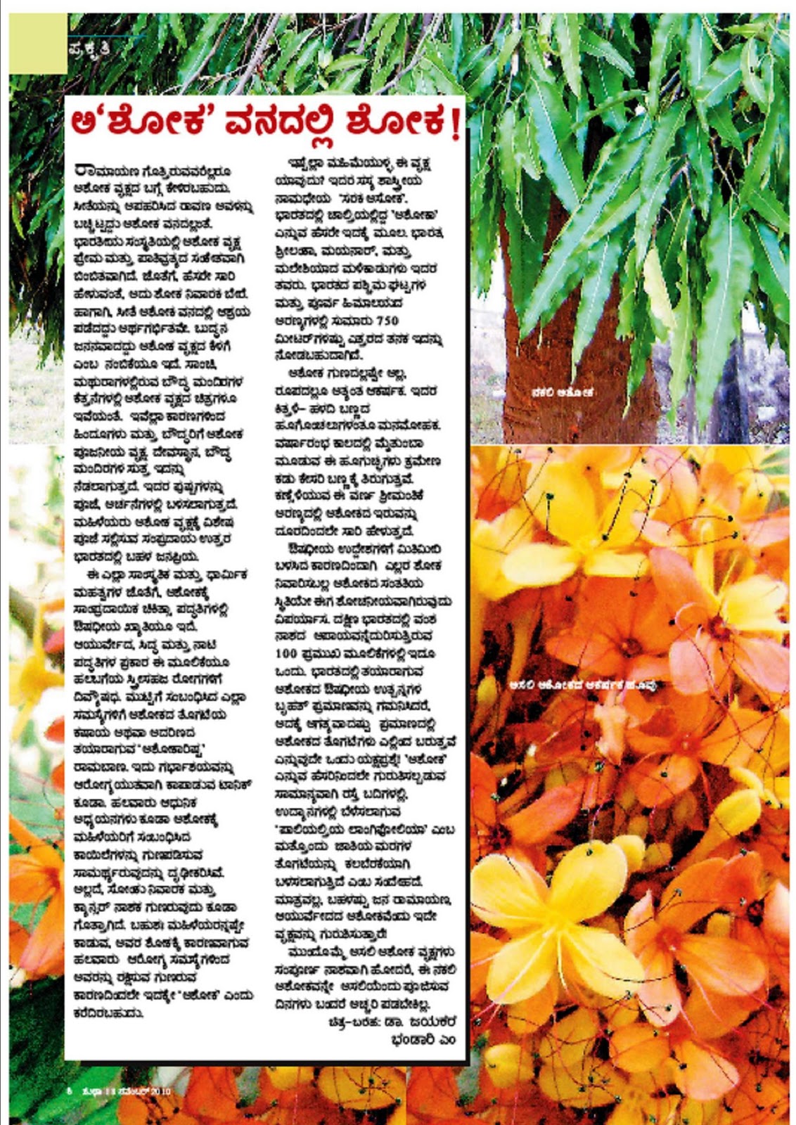 Bhandary's Bio Class: The Real 'Ashoka' Tree