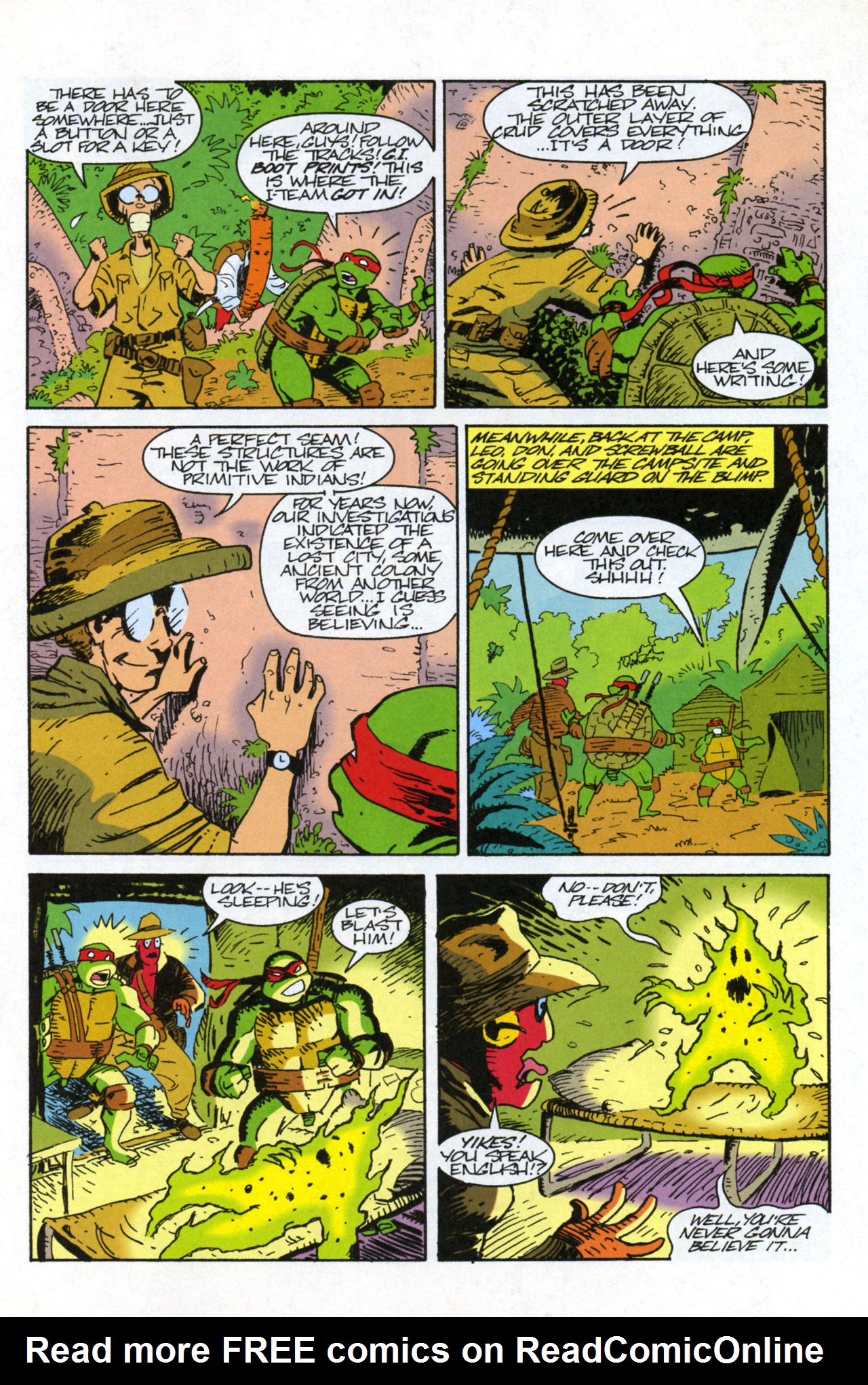 Read online Teenage Mutant Ninja Turtles/Flaming Carrot Crossover comic ...