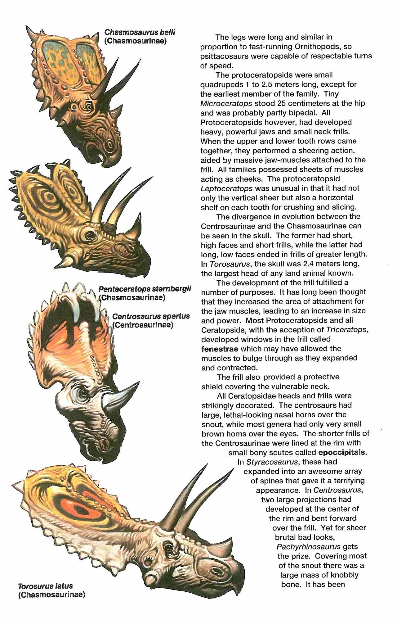 Read online Dinosaurs, A Celebration comic - Issue #4