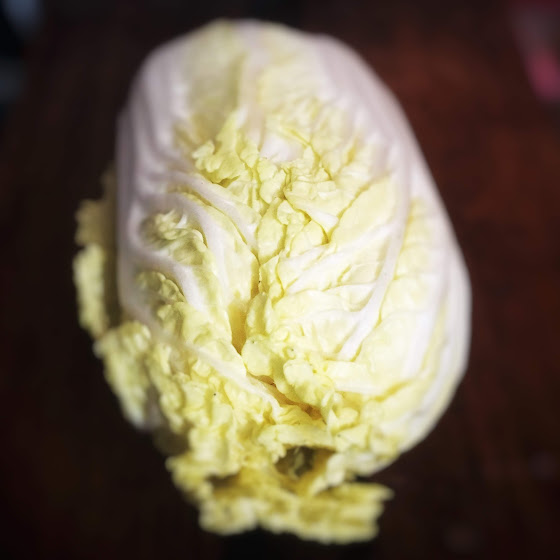 Red Fermented Bean Curd Buddha’s Delight Luohan Zhai 南乳炆齋 | Chinese ...