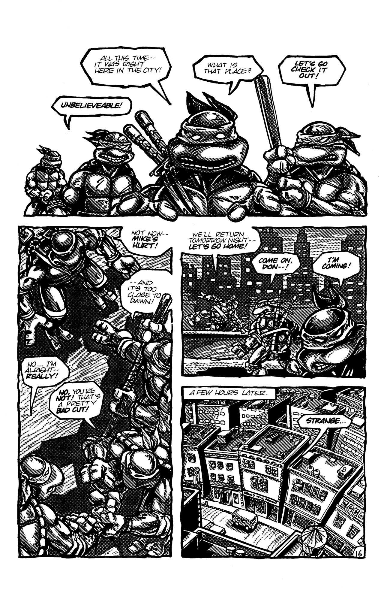 Read online Teenage Mutant Ninja Turtles (1984) comic - Issue #4
