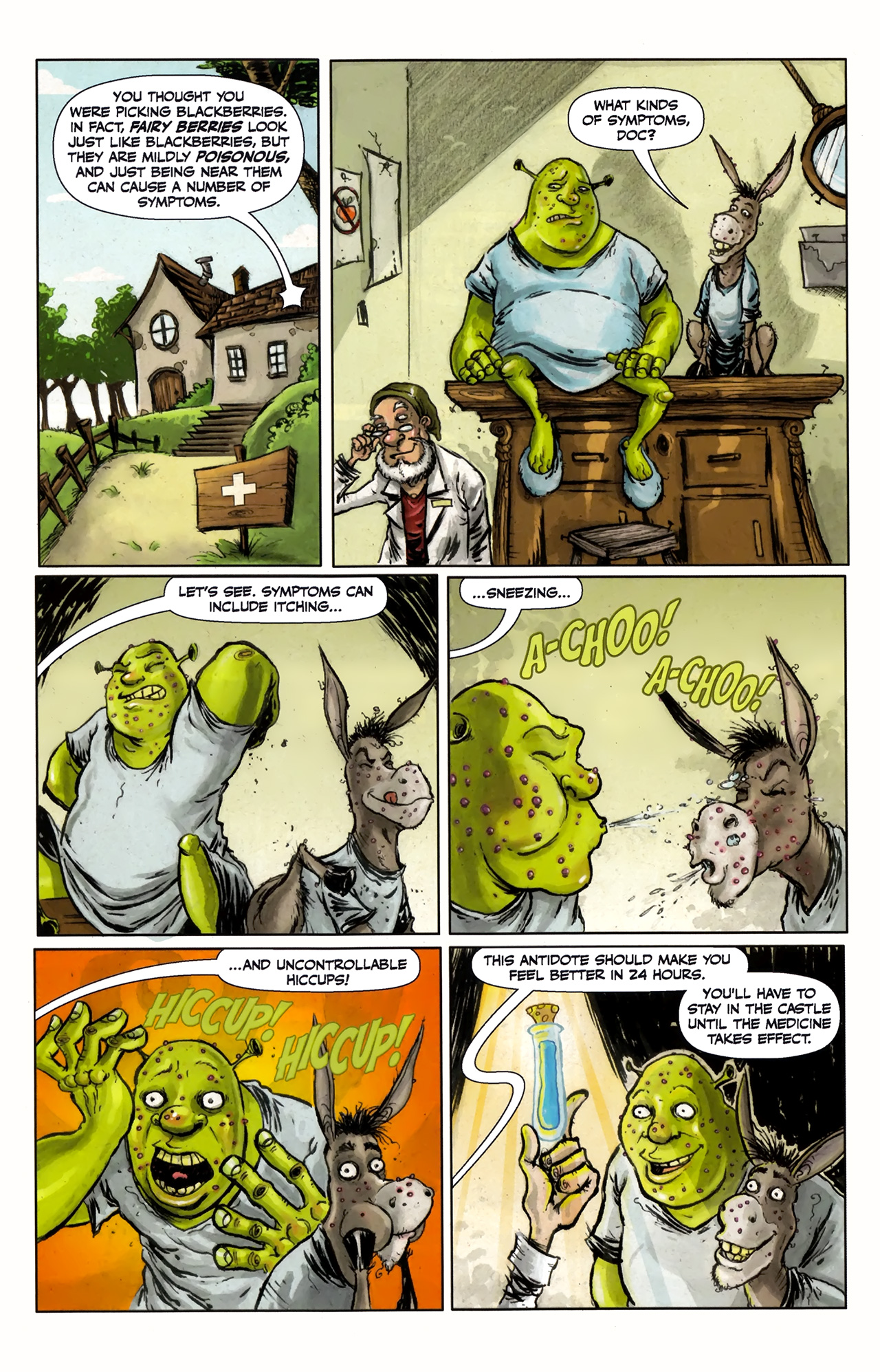 Read online Shrek (2010) comic - Issue #1