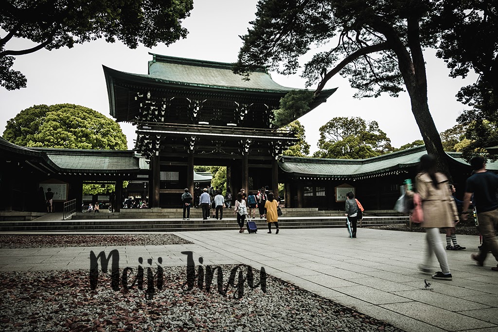 Travel Japan – Harajuku + Meiji Jingu - Spinach + Olive | Blog