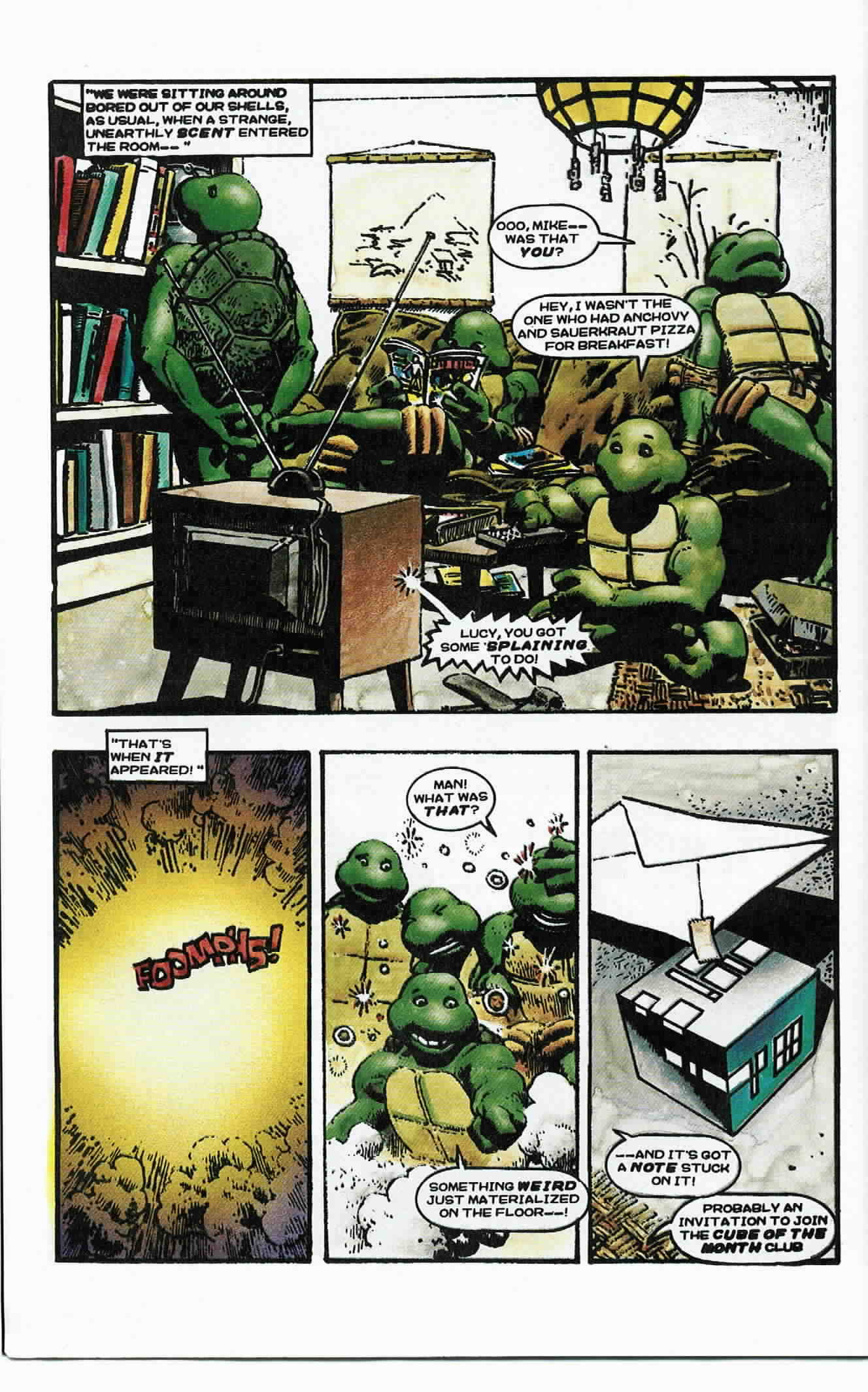 Read online Teenage Mutant Ninja Turtles (1984) comic - Issue #33