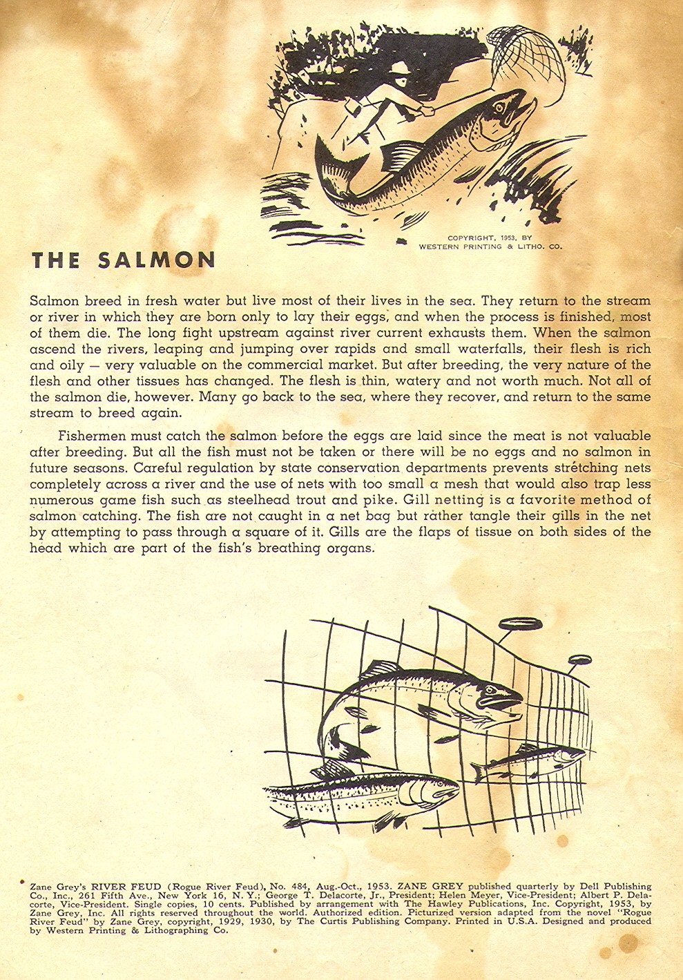 Four Color Comics Issue 484 | Read Four Color Comics Issue 484 comic ...