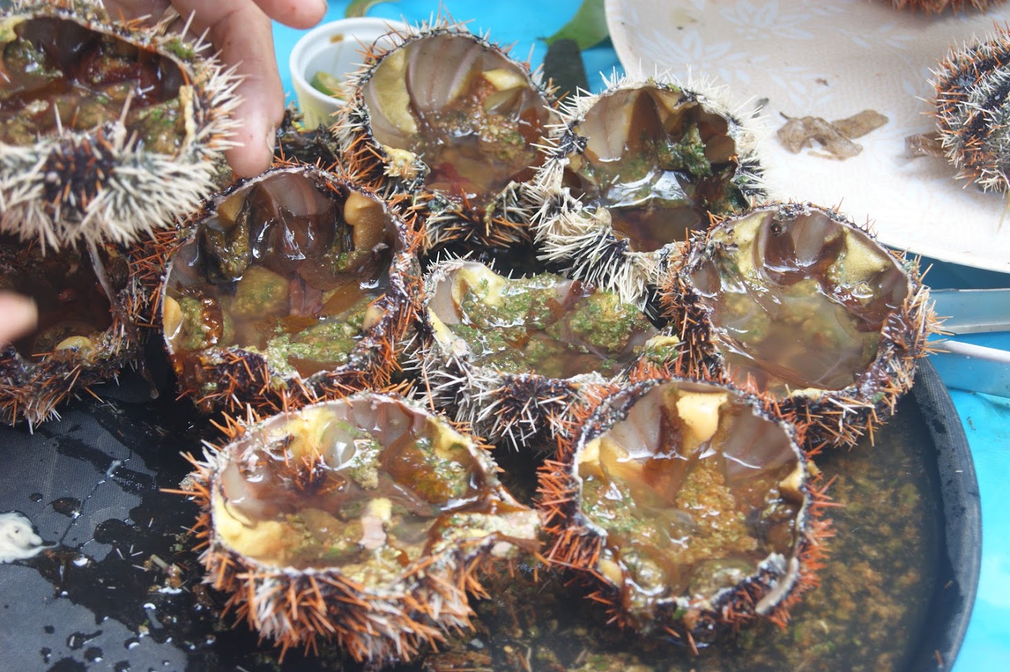 A Glimpse of Siquijodnon Cuisine - Around The Philippines